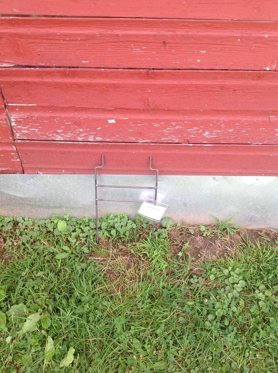 H-Stands - #220 – Trap Shack Company